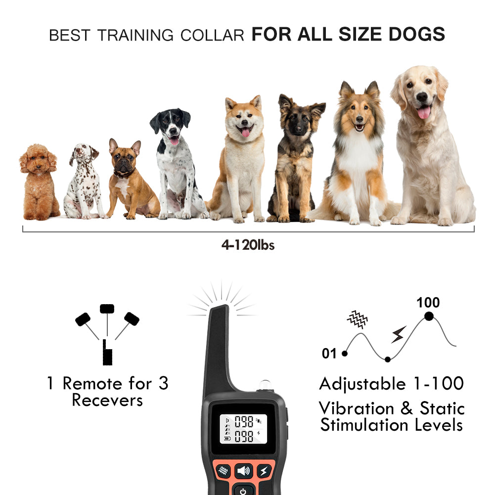 PD 529 Dog Remote Training Collar With Shock – PaiPaitek